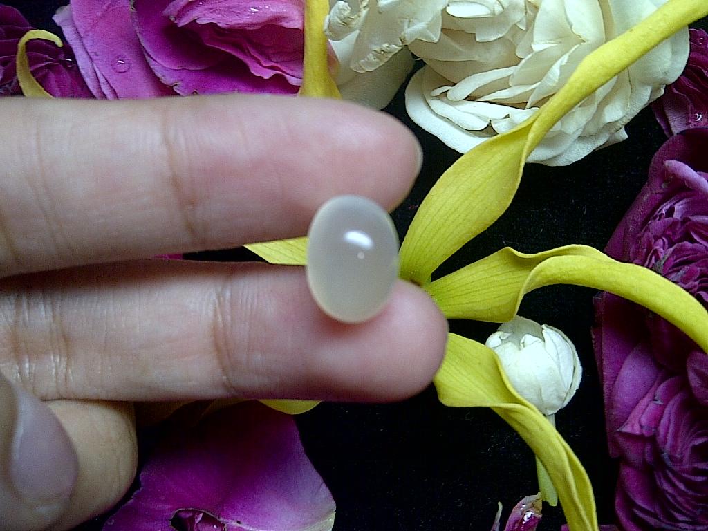 Mistik Malaya: MUSTIKA EMBUN