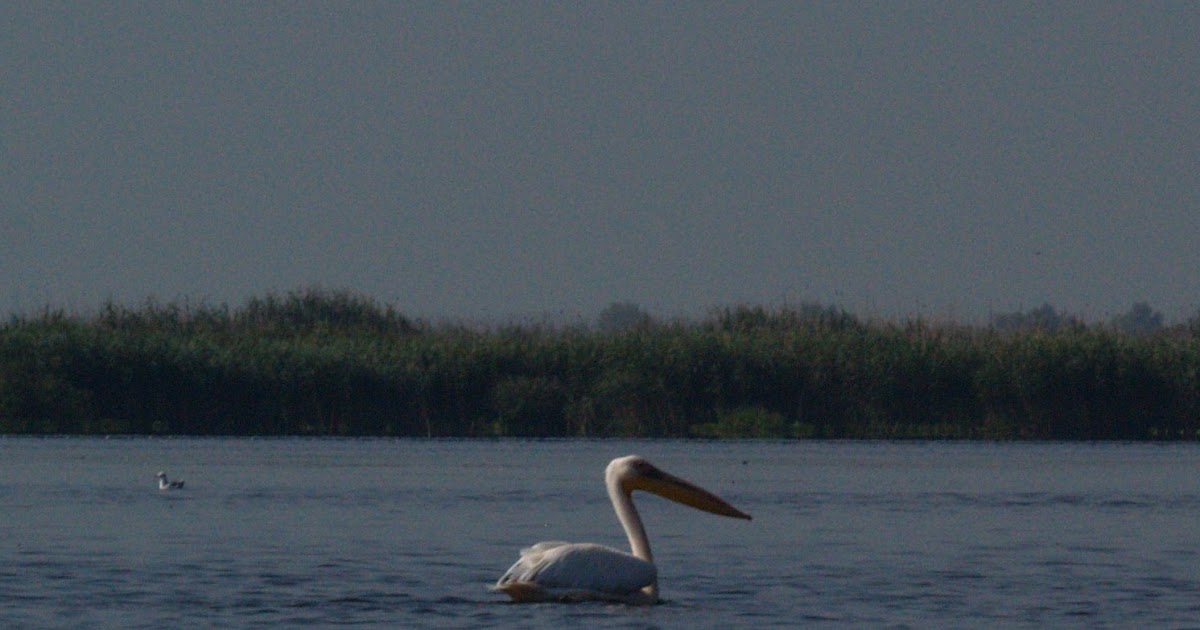 Haihui prin Lume : Romania,Delta Dunari