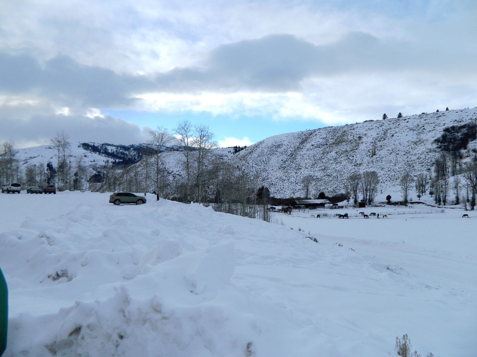 Polka-Dotty Place: Mill Iron Ranch Wyoming