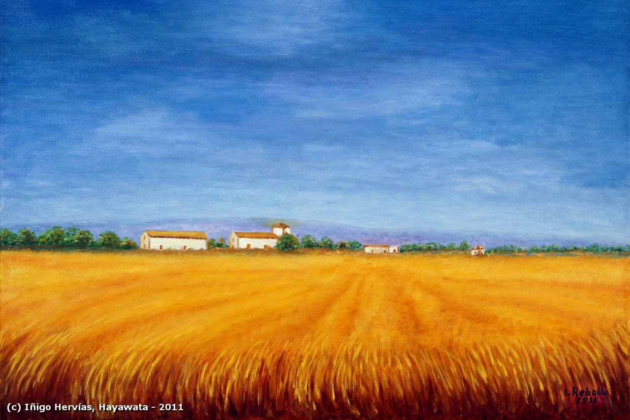 El blog de Hayawata: Trigal pintado
