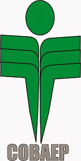 JULIA N.L.36 CUARTOSEM: logotipo cobaeP