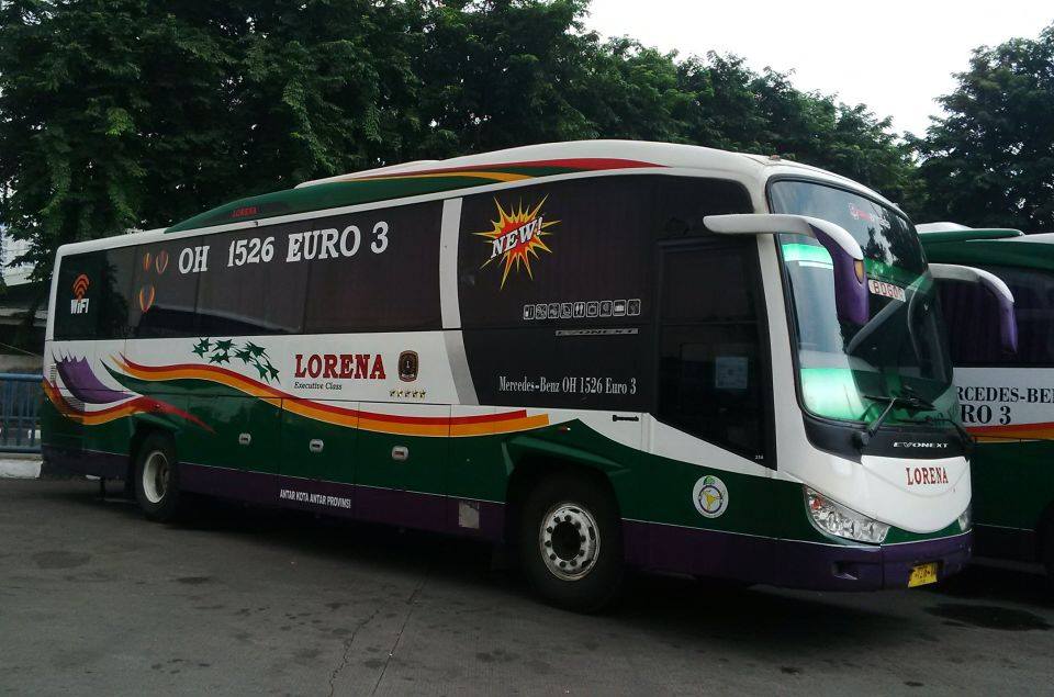 Lorena - Bus Indonesia