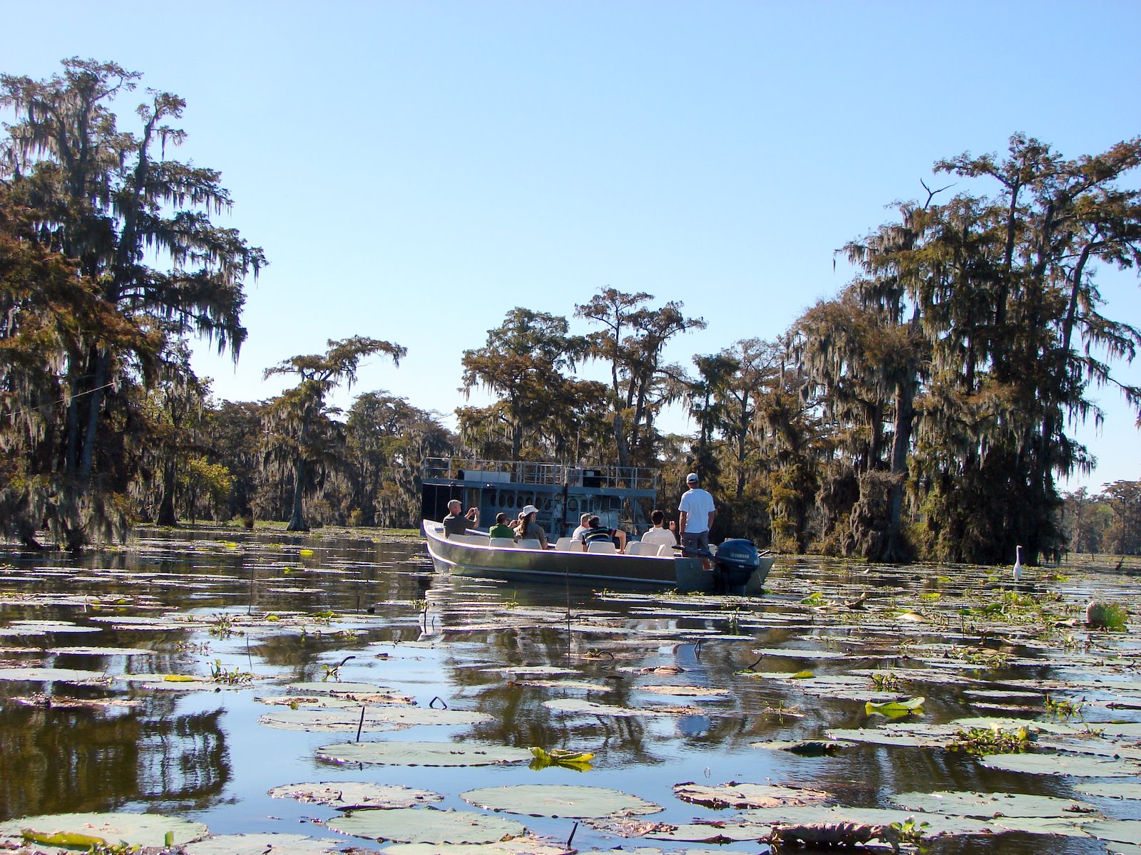 RVing and Travels...Adventures with Suzanne and Brad: Cajun Swamp Tour ...