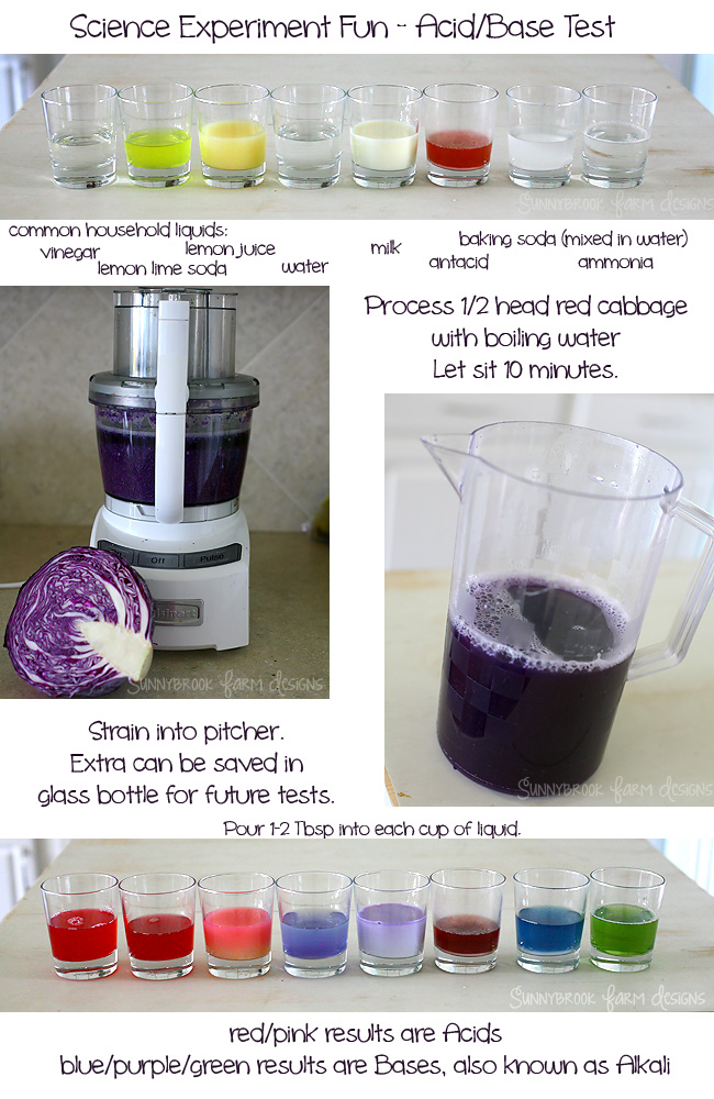 Sunnybrook Farm Designs: Kids Can Do It - Acid/Base Science Test