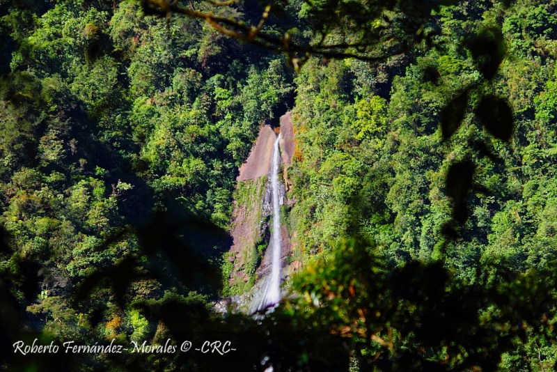 Parque Nacional Tapantí | Explore Costa Rica
