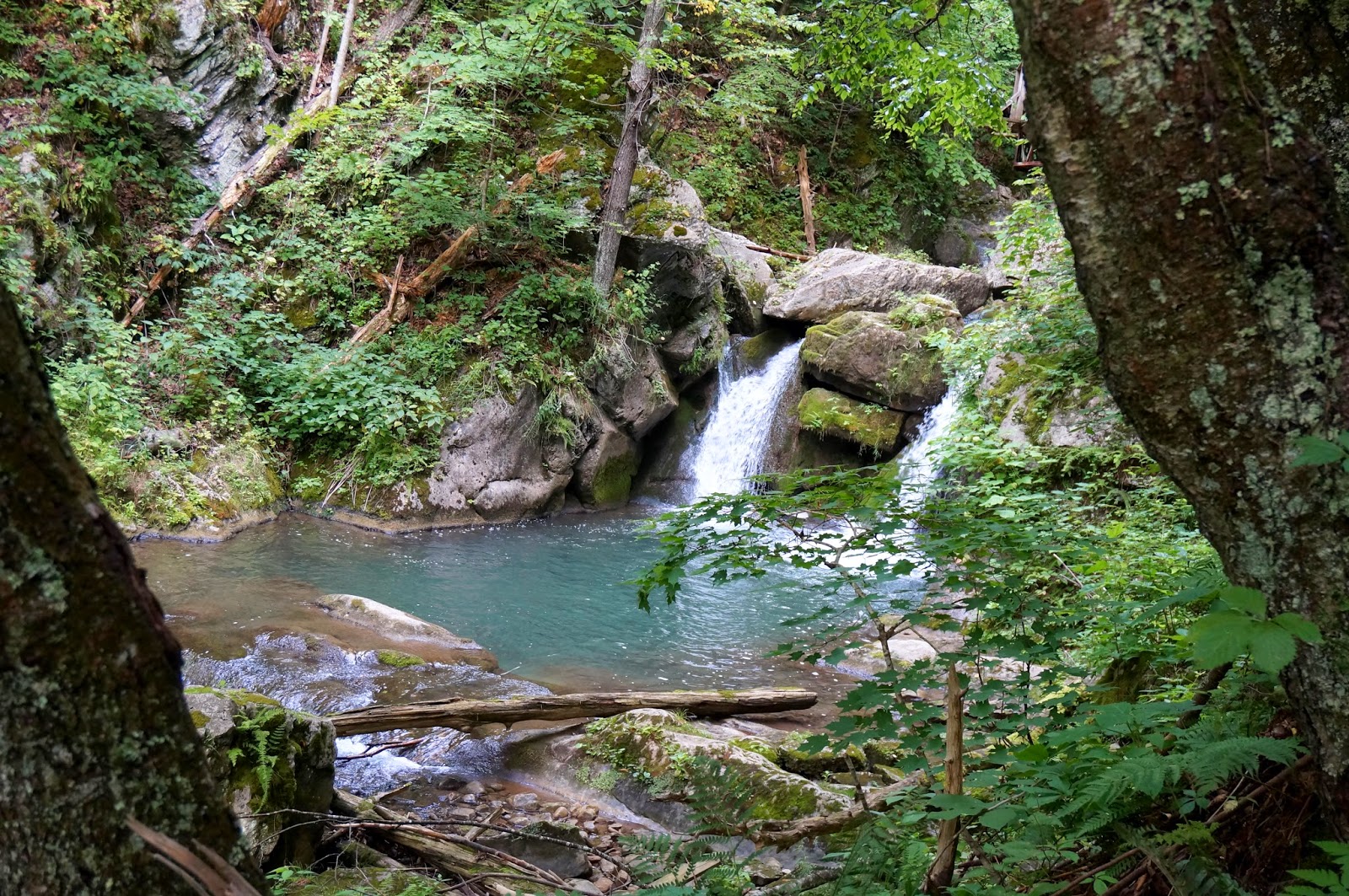 The Curious Lark: Garth Newel :: Waterfall Wanderings