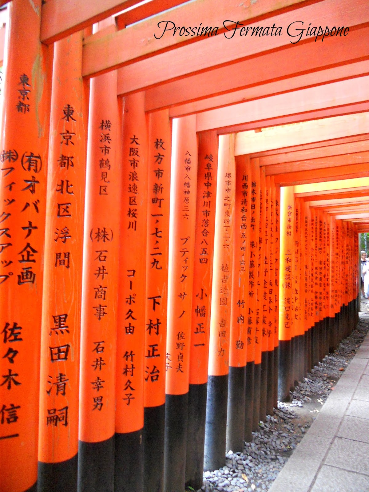Kyoto parte 3.1 ~ Fushimi Inari, Pontocho e Sanjusangendo … luoghi che ...