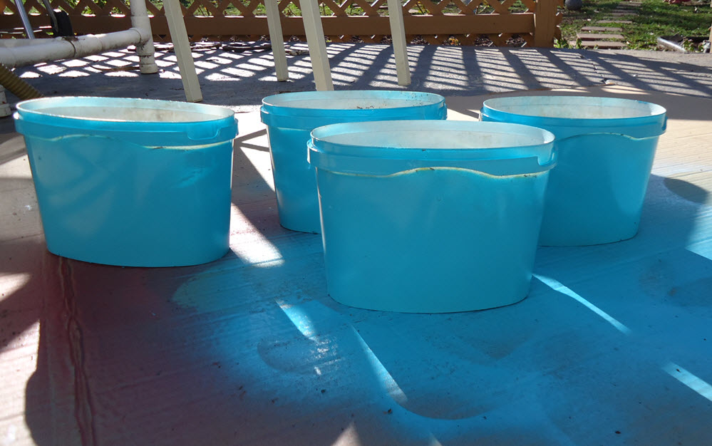 Ice Cream Container Planter | Tropical Mom's Day Off