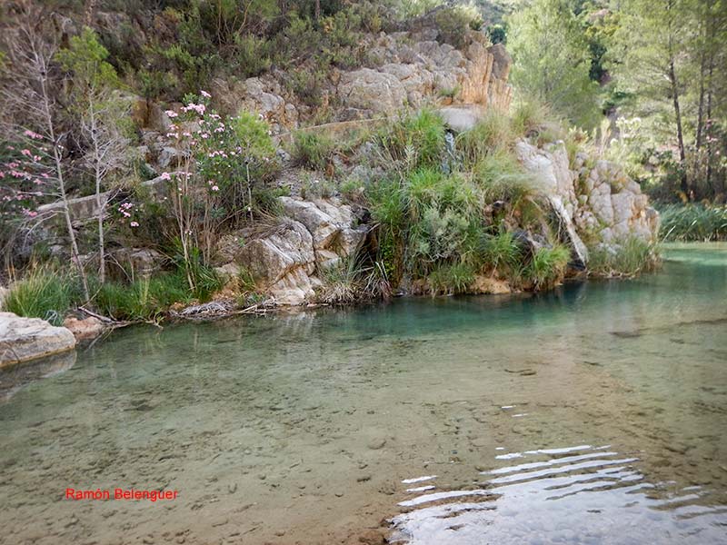 BICHOS Y MAS VLC: DE PASEO POR El RÍO FRAILE MENOS CONOCIDO