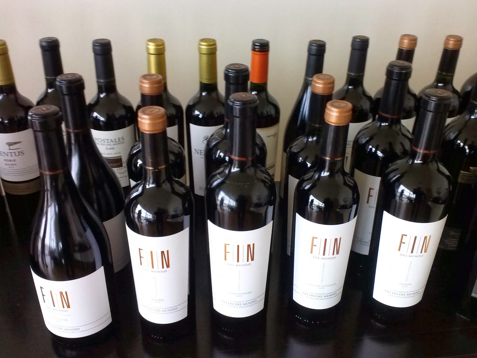 TheWineBlog: The 'Wines of ARGENTINA'--Mendoza, Salta and Patagonia--An ...