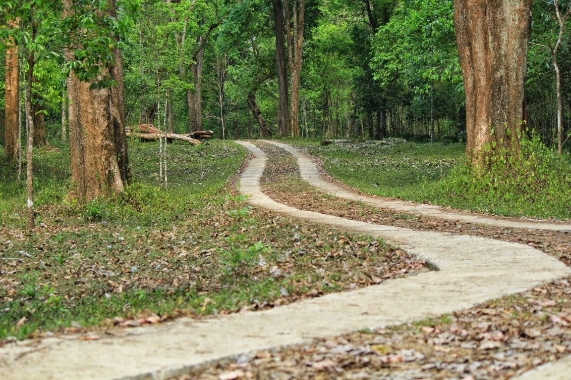 Chennai Hikes: Manampalli forest valparai