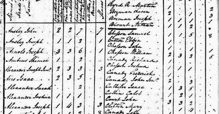 Genealogy: Chasing our roots: 1790 United States Census