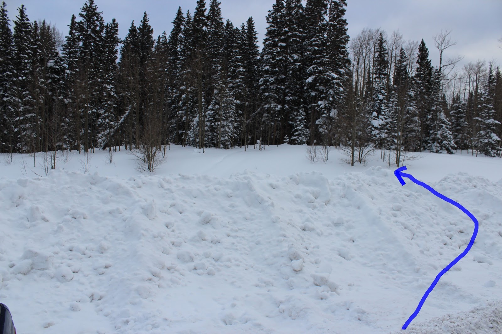 gjhikes.com: Griffith Lake Nordic