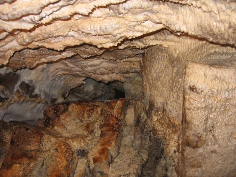 Tangled Web: Ontario's Largest Natural Cavern