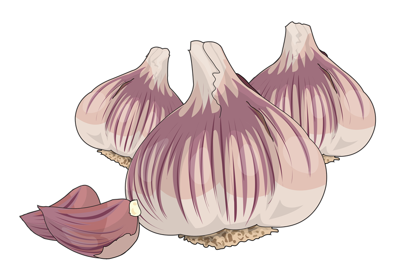 ® Imágenes y Gifs Animados ®: AJOS