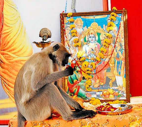 The Monkey God - ARUNACHALA GRACE