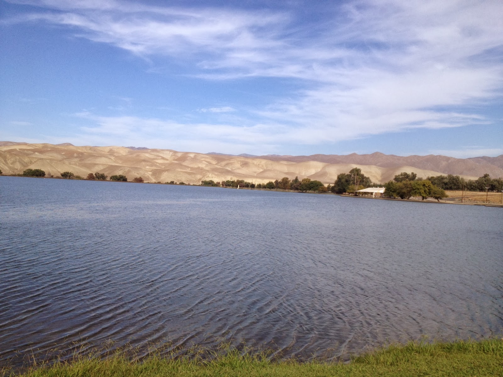 1981 VW Camper: Lake Ming