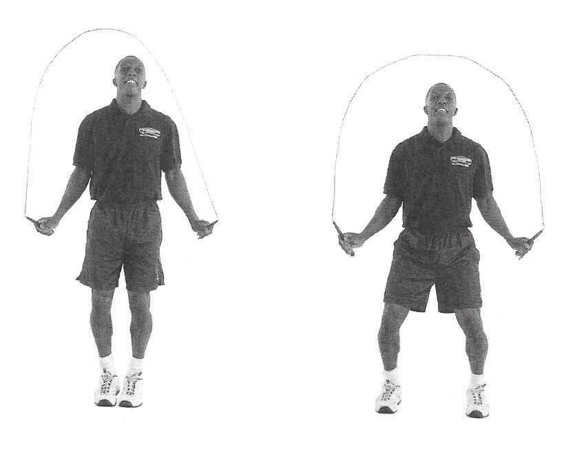 LOS 15 PASOS DE COMBA