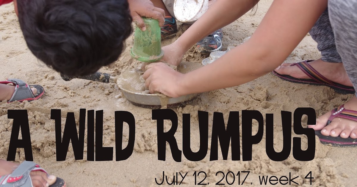A Wild Rumpus, week 4: Wet sand is the BEST! : library makers
