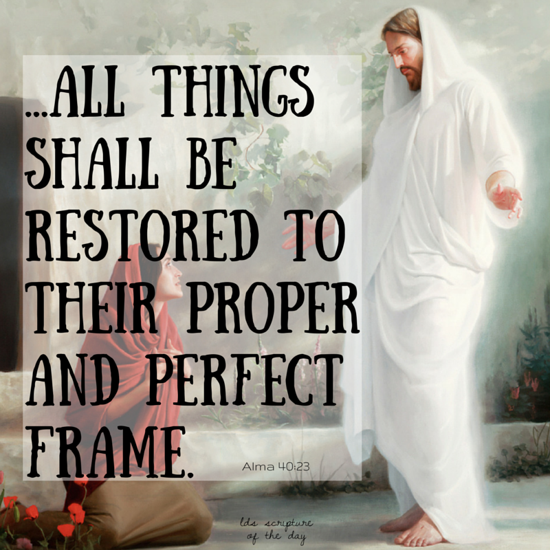 LDS Scripture of the Day: Alma 40:23