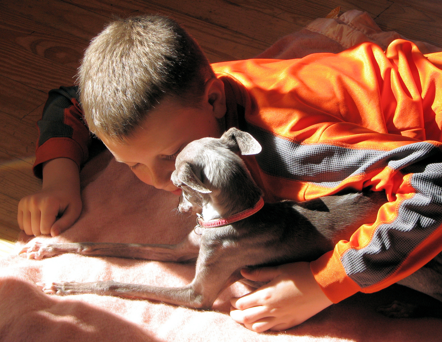 The Hartley Hooligans: Twenty