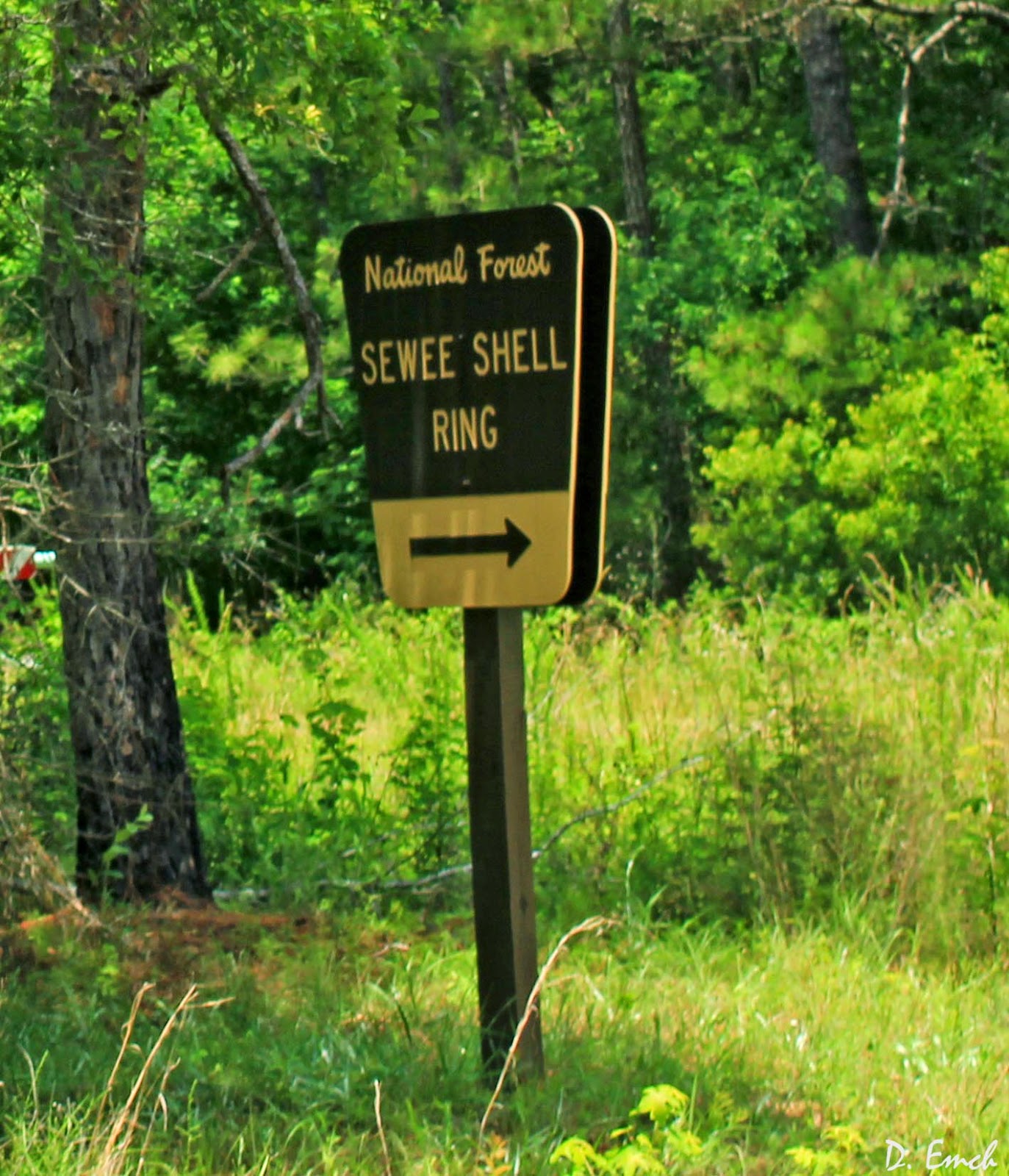 Capture America Journal: Santee River Delta - 6/26/14