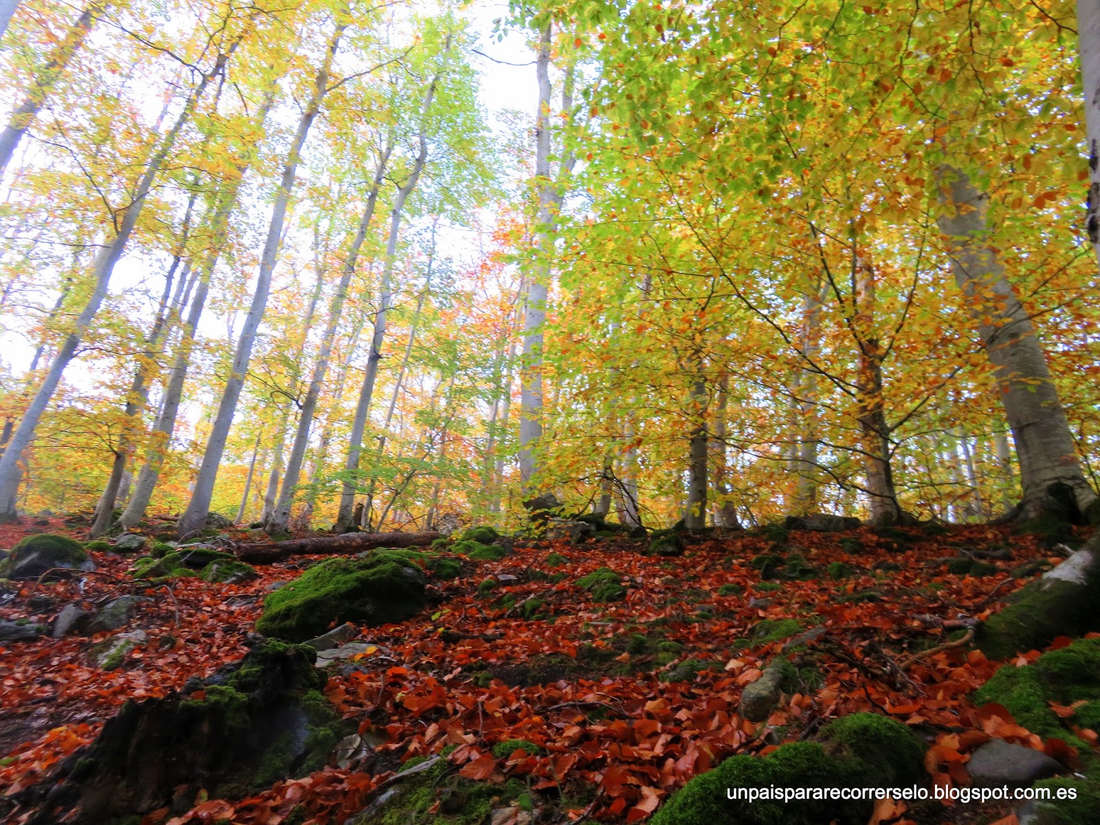 Un país para recorrérselo: Sendero Botánico del Moncayo
