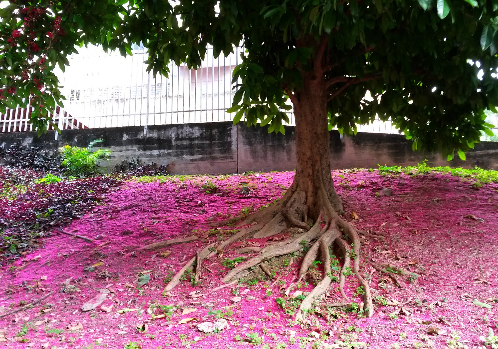 AdeFotos: diciembre 2014