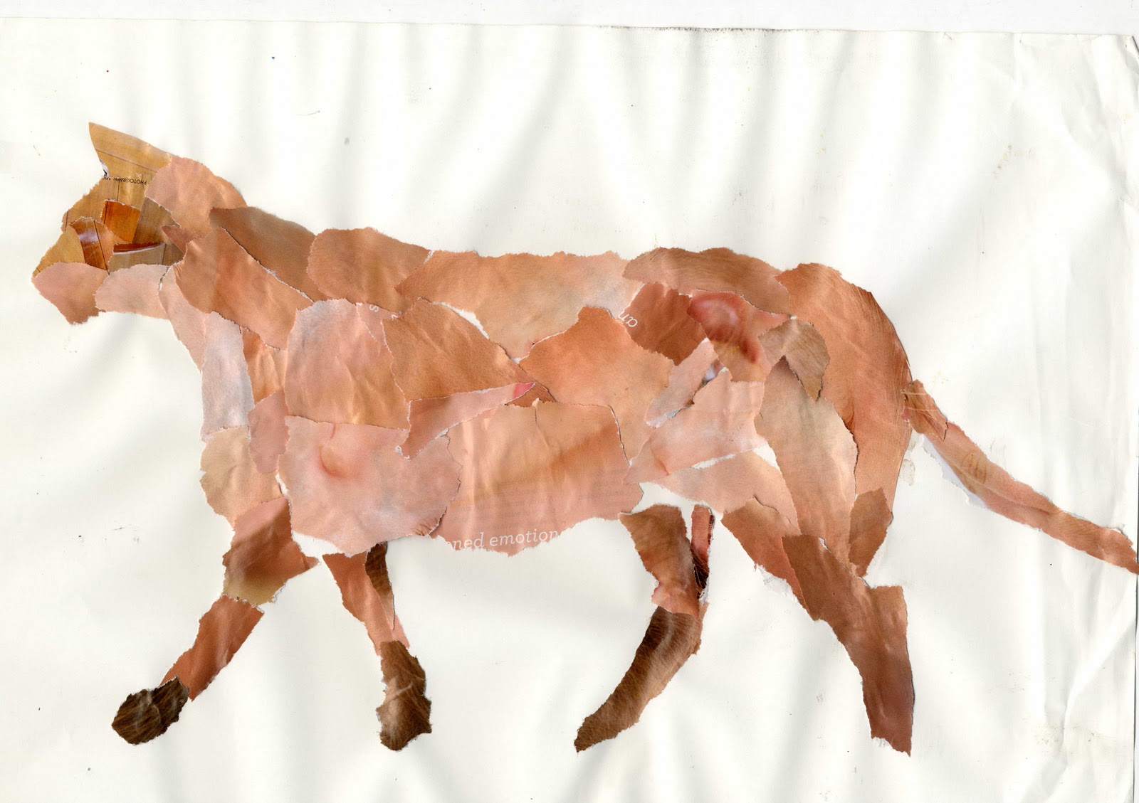 suburban sketches: Visual Distortion