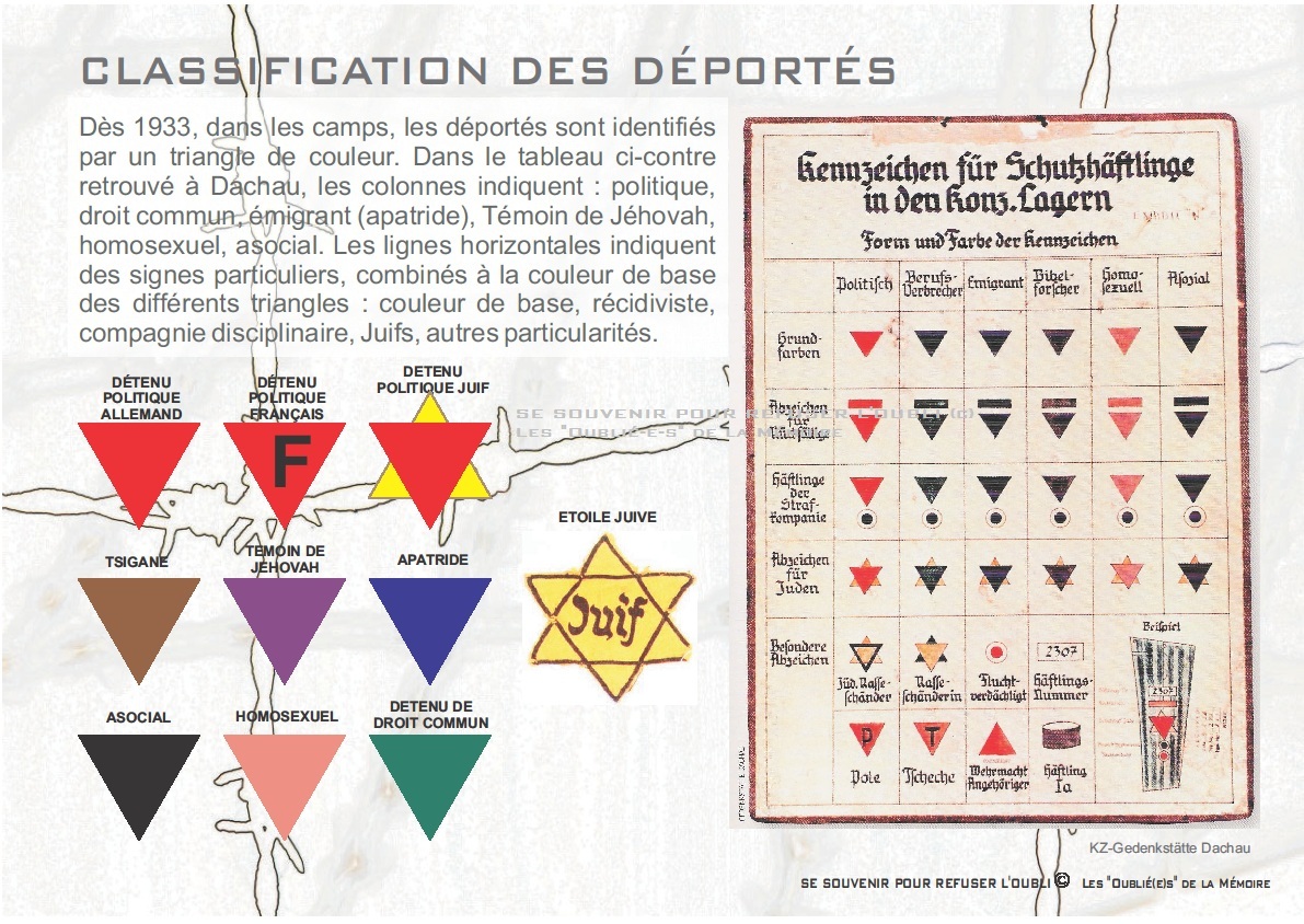 QUESTIONS : Les symboles nazis à l'Assemblée, manquait plus que ça...