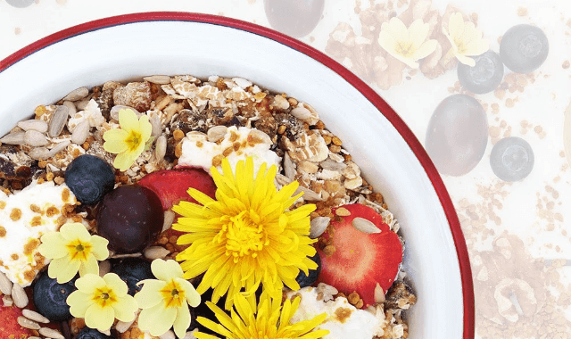 Edible Flowers: 15 Blooms that You Can Eat #Infographic - Visualistan