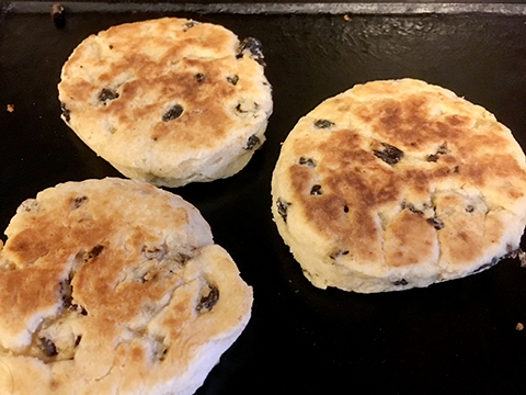 Feeding My Enthusiasms: Singing Hinnies with the Bread Baking Babes