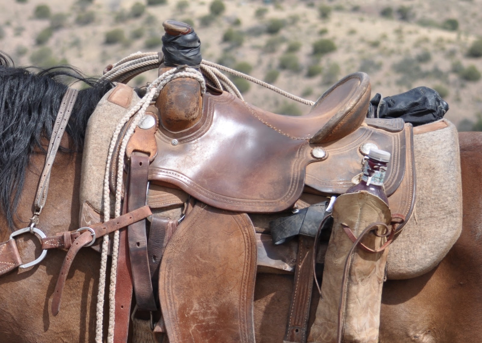 Living on Winchester Ranch: Saddles, Ropes, Canteens, and other Gear