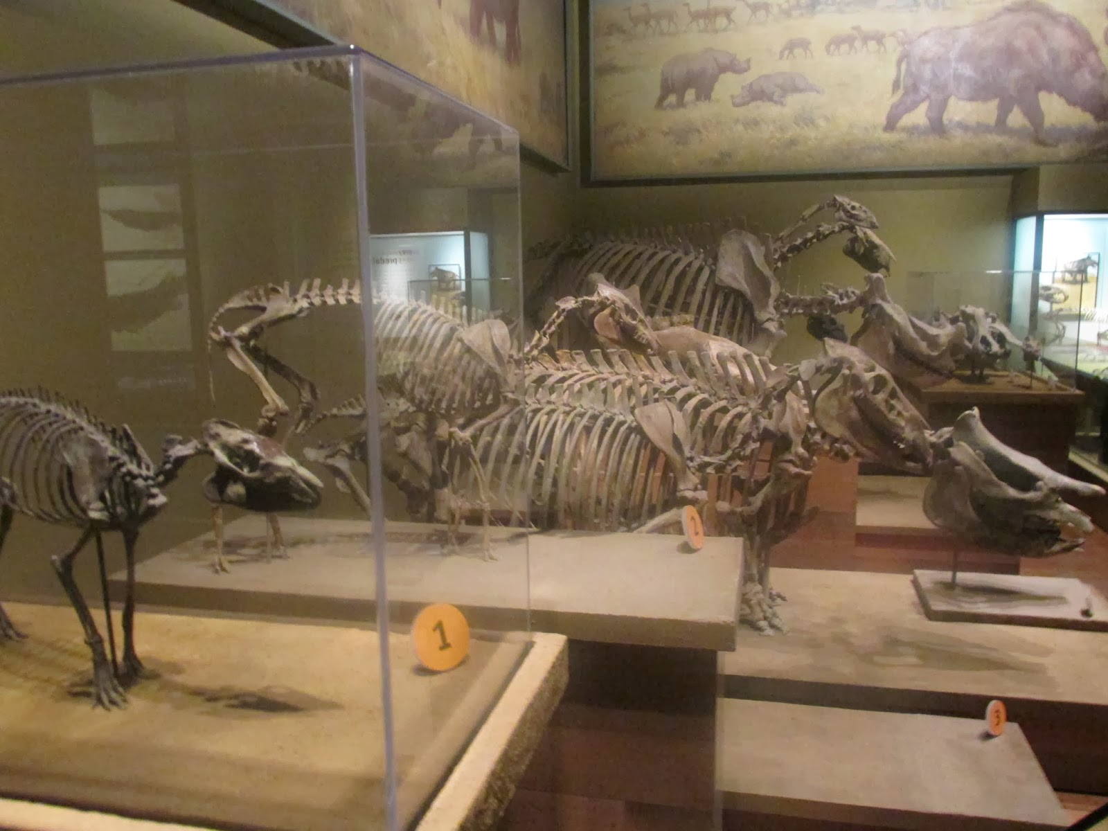 What happens when a non-accredited paleontology fan blogs: An Overview ...