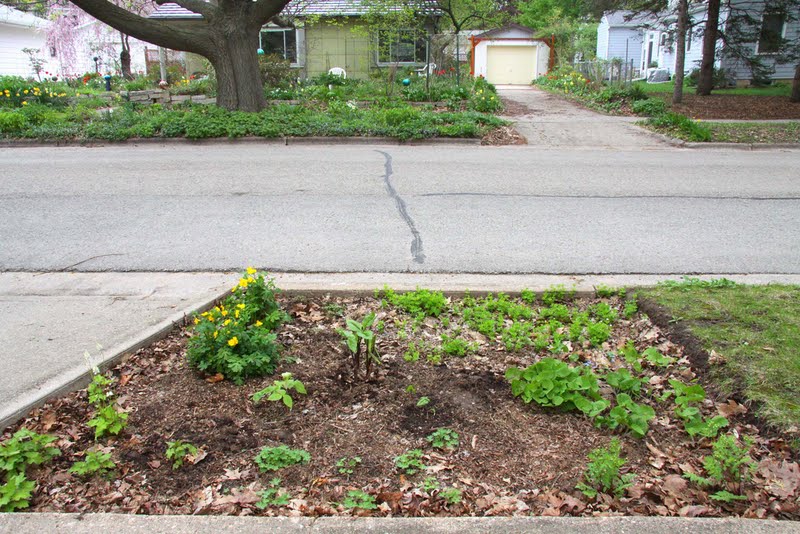 Rain Gardens in Dane County: How to build a large rain garden on your ...