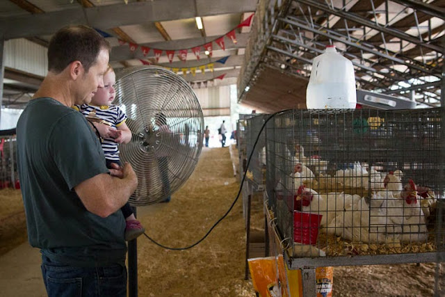 The Craigs: Tyler County Fair