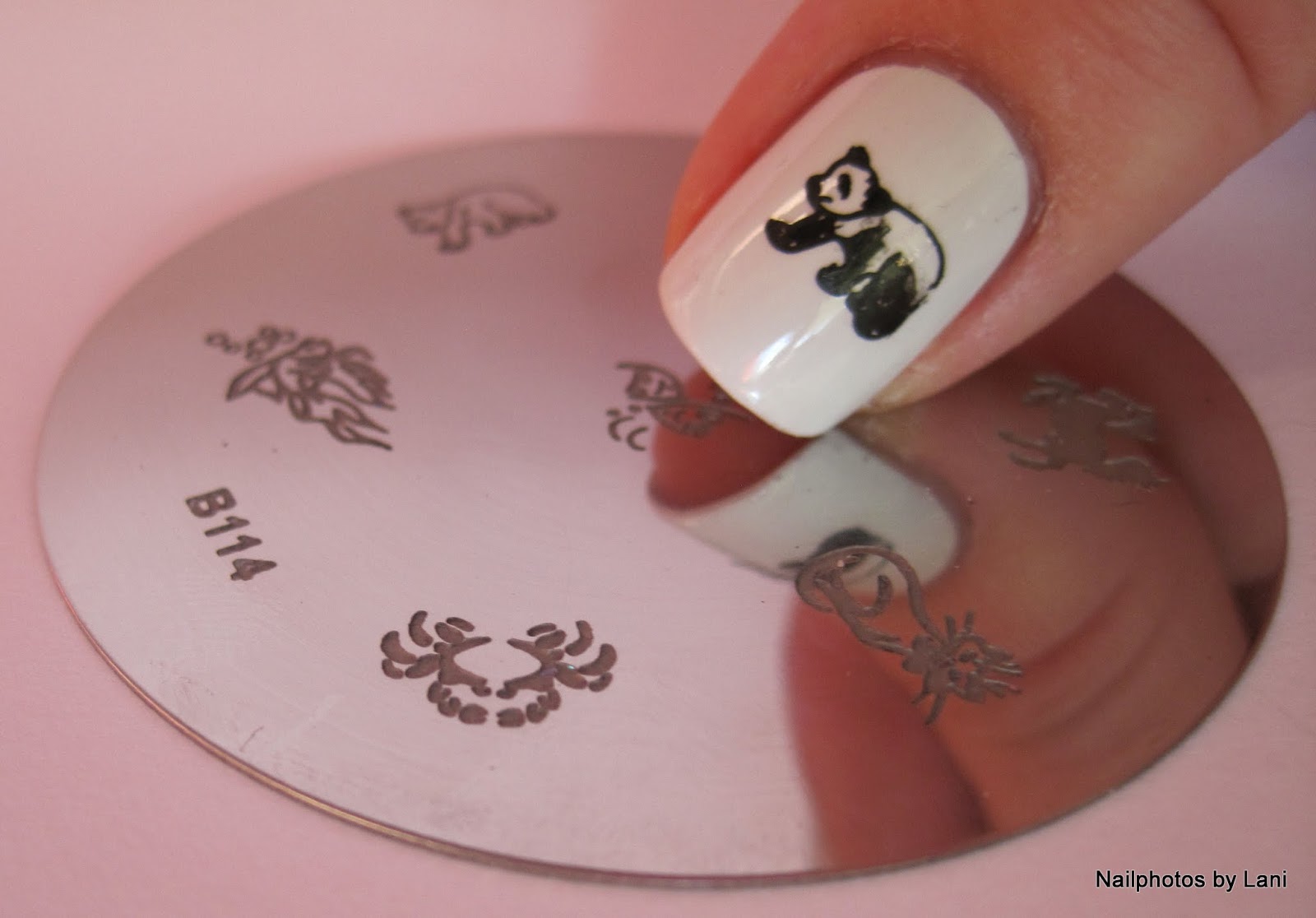 Nailphotos by Lani: Giant panda and giant panda cub water decals and videos