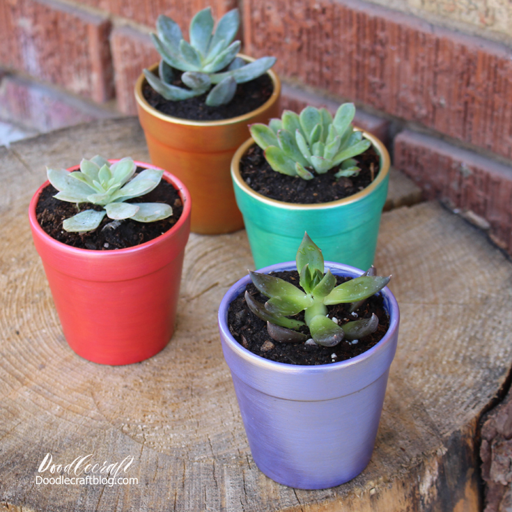 Planters & Pots Plant Accessories Home & Hobby Moustache Succulent ...