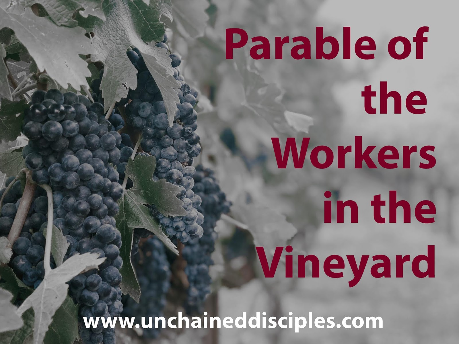 Unchained Disciples : Parable of the Laborers in the Vineyard