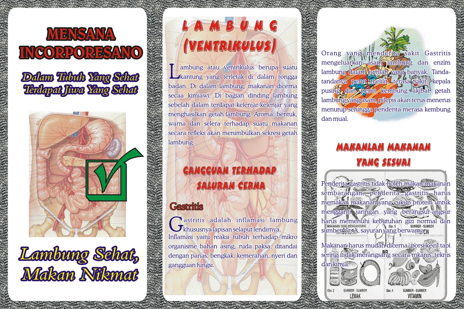 kesehatan: leaflet lambung maag