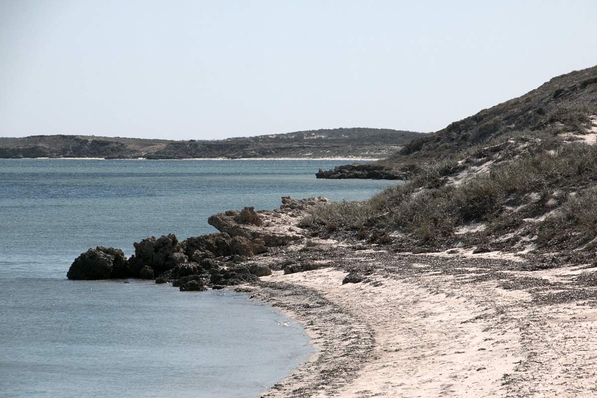 Bushranger: Shark Bay coastlines