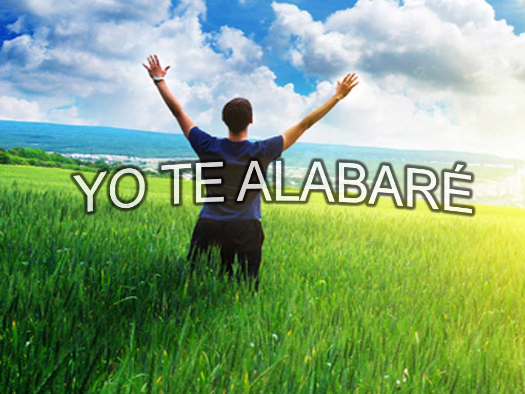 Yo te Alabare