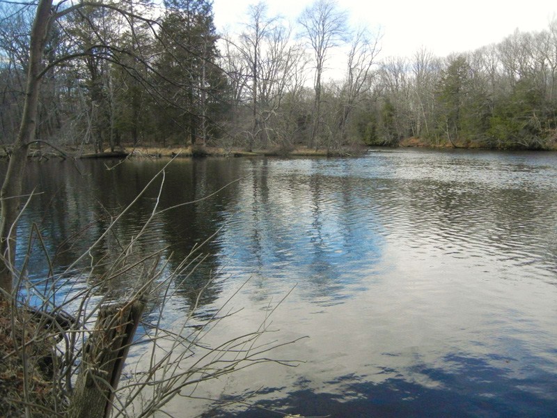Farmington Valley Homeschool Hikers: Bloomfield - Farmington River Park