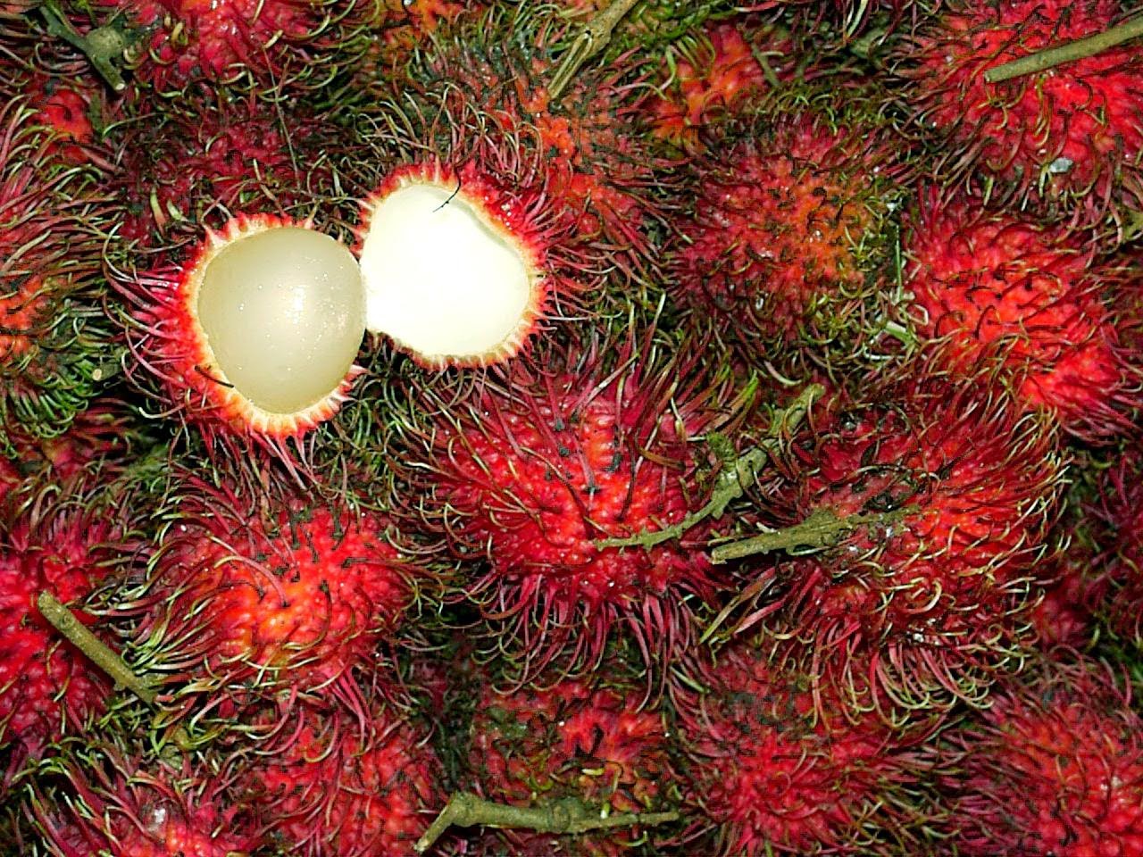 Manfaat Kulit Buah Rambutan