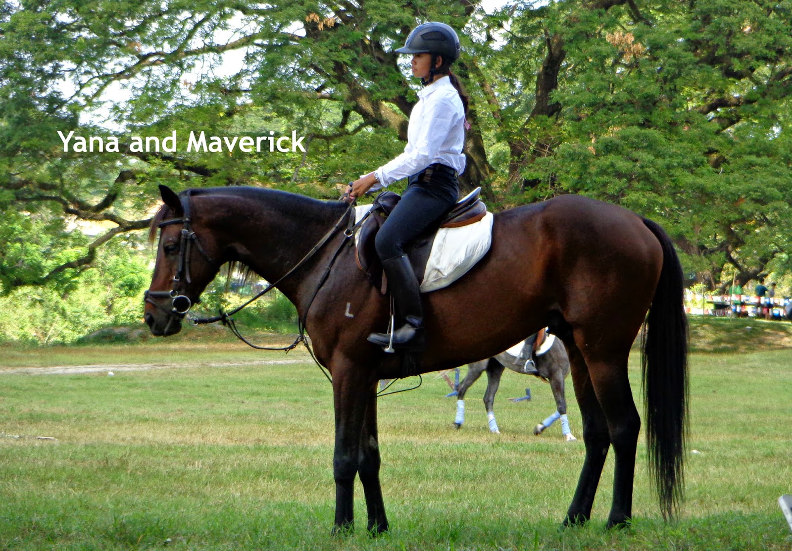 Horse Riding Sport Philippines at Marvin Thomas blog
