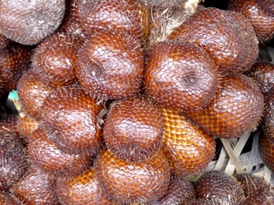 Bali Beauty Tour: Salak Fruits