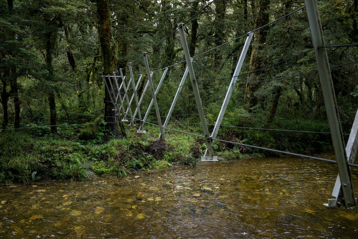 Tramping in the New Zealand backcountry: NZ Bush Adventures: You SHALL ...