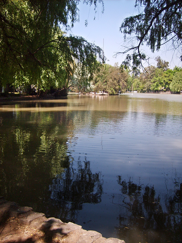 Parque O Higgins en la comuna de Santiago.-a