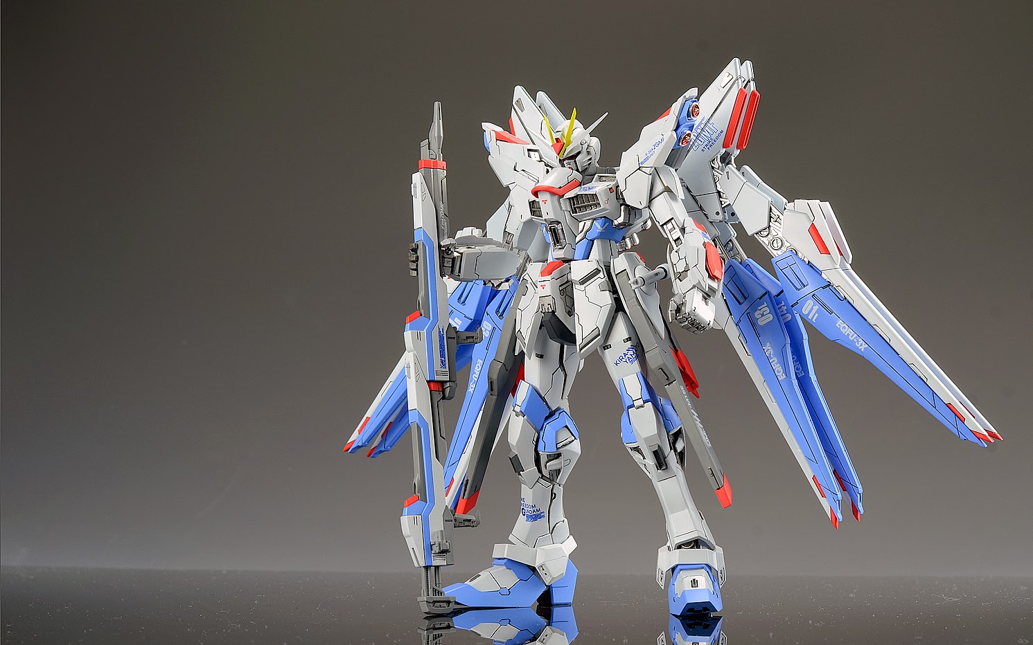 Custom Build: VP 1/100 Strike Freedom Gundam "Detailed"