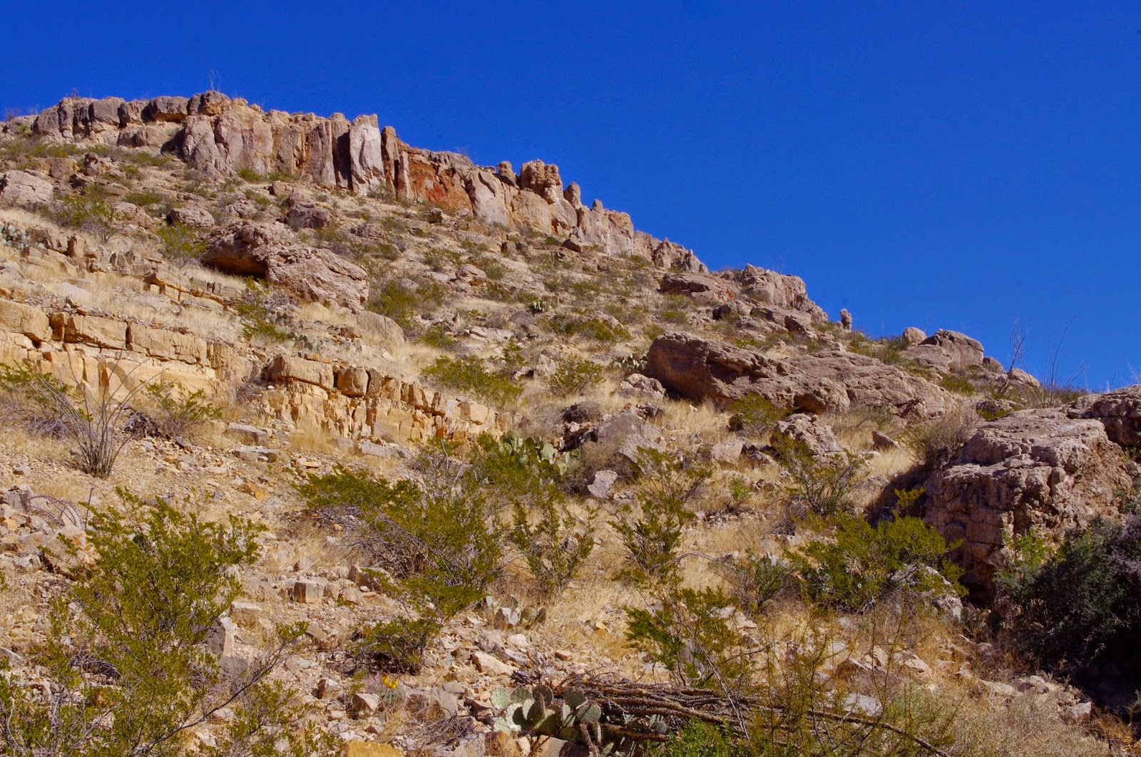 Southern New Mexico Explorer: " Middle" Canyon, Robledo Mountains